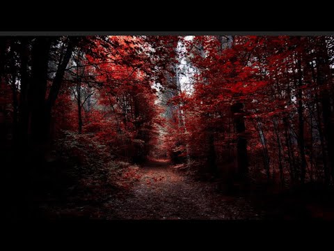 Arcticore SAFEnet: all parts performed by Jared Sparkman - YouTube