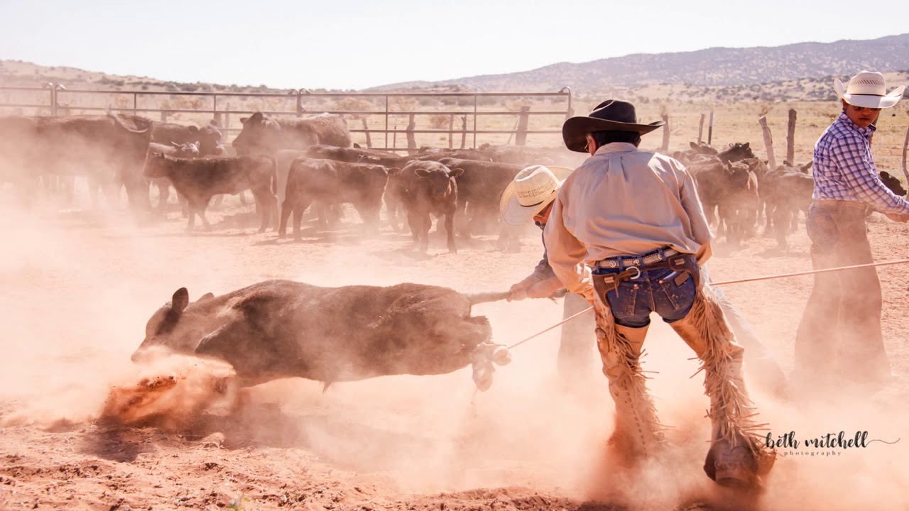 Beth Mitchell Photography - YouTube