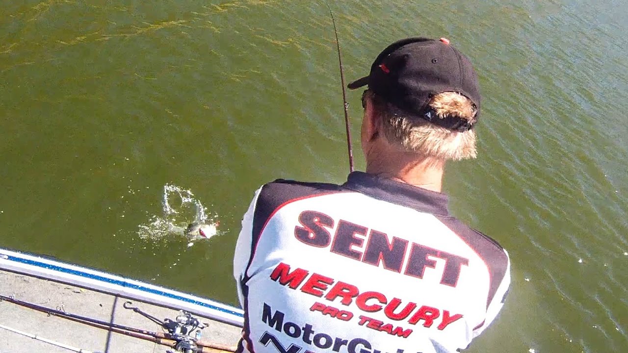 Master the Texas Rig with Gary Senft | 90 second Rule to Catch More ...