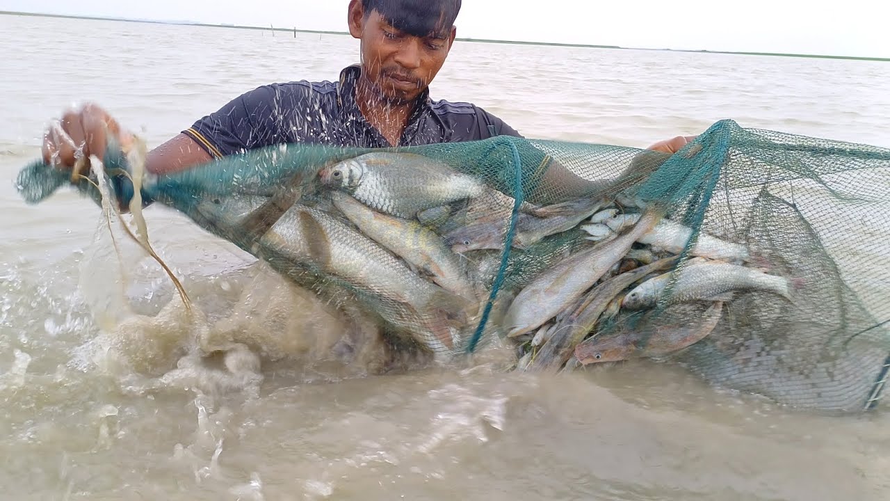 চায়না জাল দিয়ে মাছ ধরা | রিং জাল দিয়ে মাছ ধরার নিয়ম | China jal ...