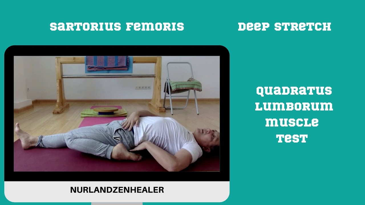 Quadratus lumborum test * Deep stretch * Rectus femus * Sartorius femur ...