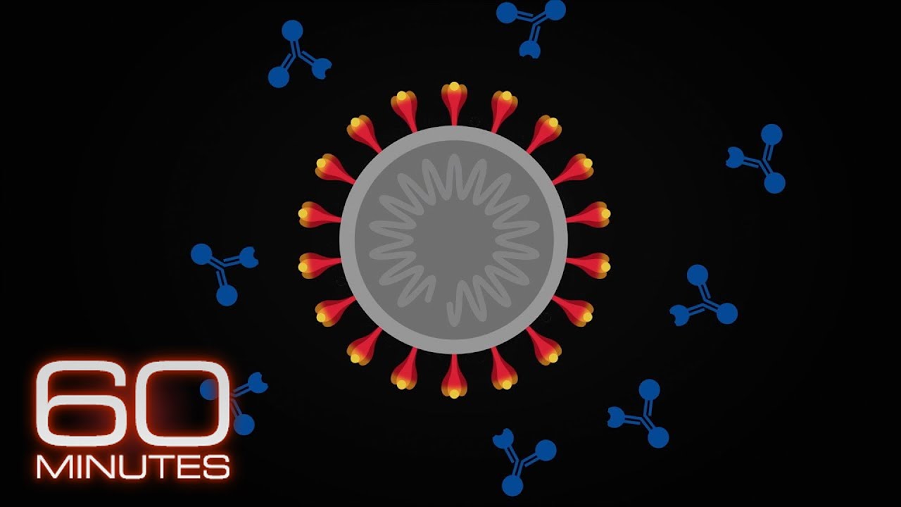 How do coronavirus variants form and will the current vaccines work ...