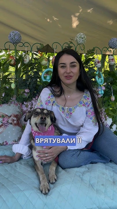 Вже 25 роки шукає дім Прихистіть Юту 🙏🏻 клубхвостики шортс собака цуценя Youtube