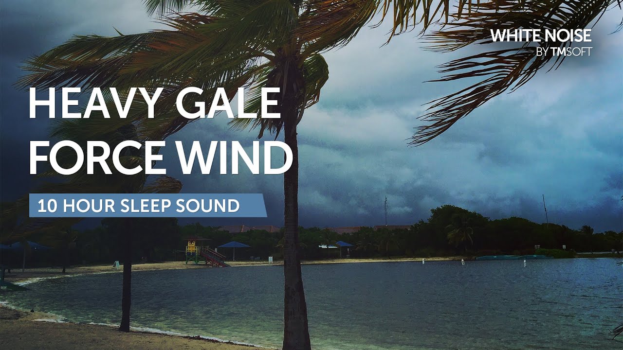 Heavy Gale Force Winds Sleep Sound - 10 Hours - Black Screen - YouTube