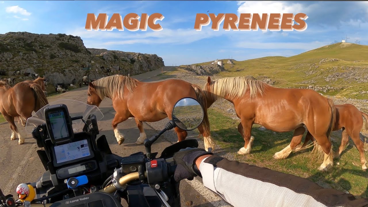 [EP05] French Pyrenees: magic tracks and fantastic beasts 🙌🏽😍 - YouTube