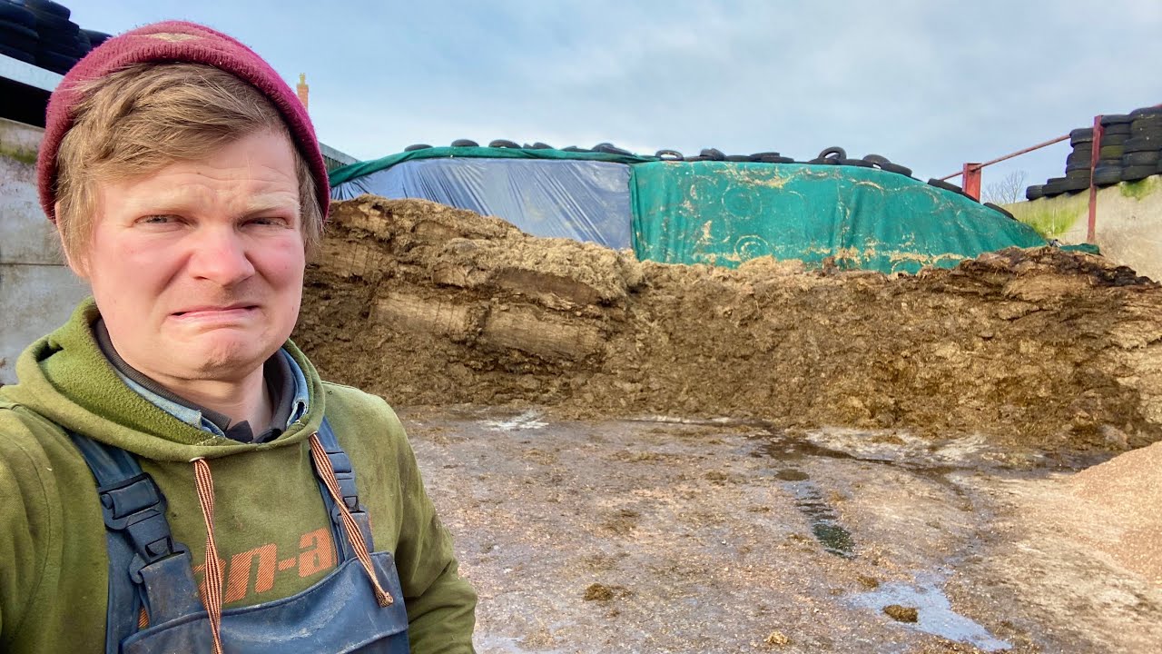 OUR SILAGE CLAMP HAS COLLAPSED!! - YouTube