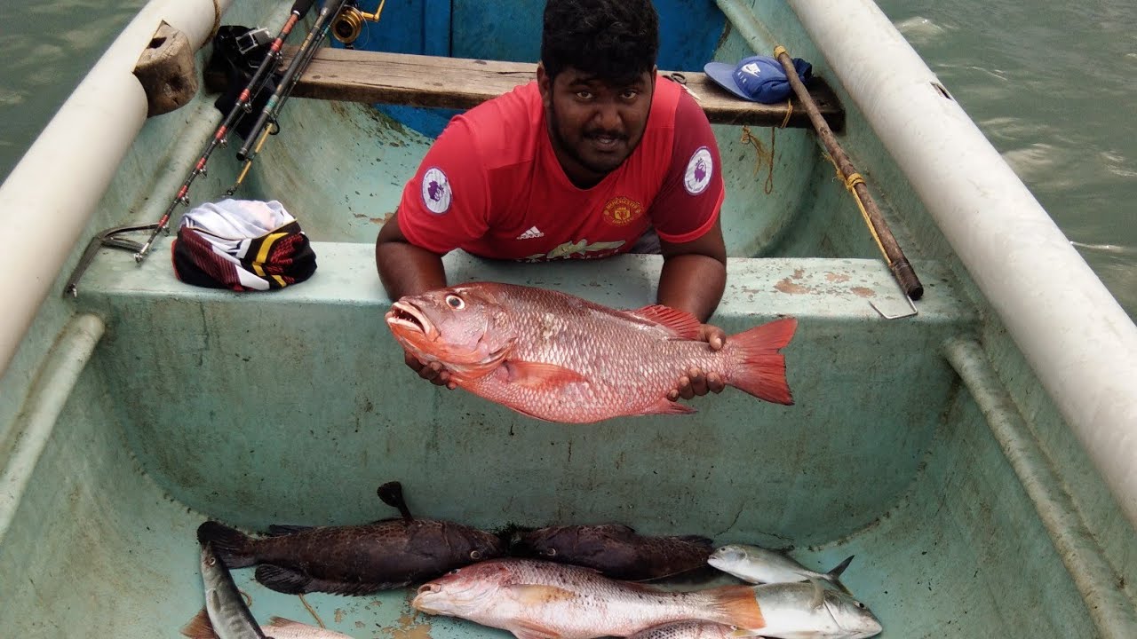 4kg golden snapper(red snapper) in Goa - YouTube