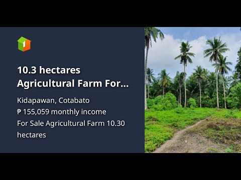 10.3 hectares Agricultural Farm For Sale in Kidapawan Cotabato - YouTube