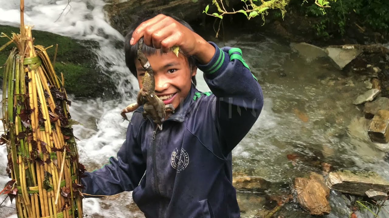 In the hunt of Paha 🐸 somewhere in himalayas #Nepal 🇳🇵 - YouTube