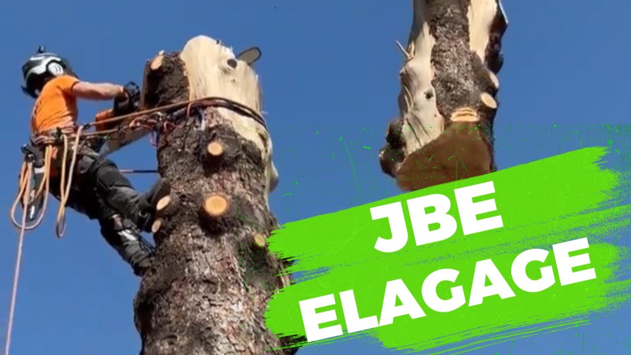 JBE ÉLAGAGE // DÉMONTAGE A LA GRUE DU SAPIN FRAPPÉ PAR LE FOUDRE ...