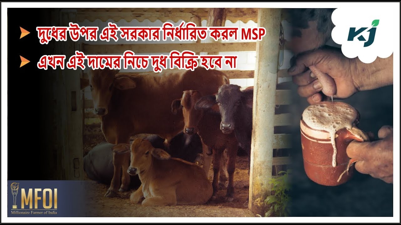 Top News: MSP on Milk| দুধের উপর এই সরকারের নির্ধারিত MSP| PM KISAN ...