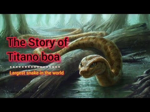 Titano Boa #largestsnake #titanoboasnake #wildlifeanimals#viralvideos # ...