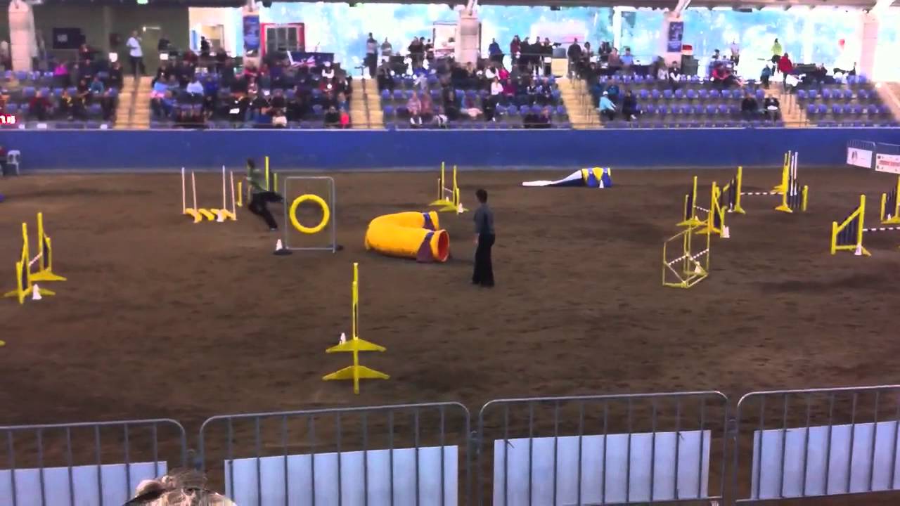 Jules & Diva Agility Nationals 2012 - Masters Jumping Final - 1st Place ...