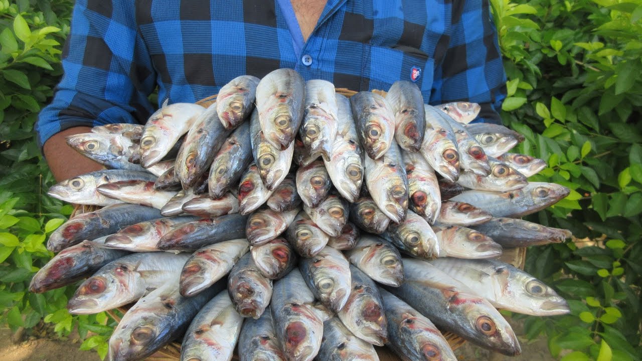 100 FISH Cooking in My Village Prepared By My Brother | VILLAGE FOOD ...