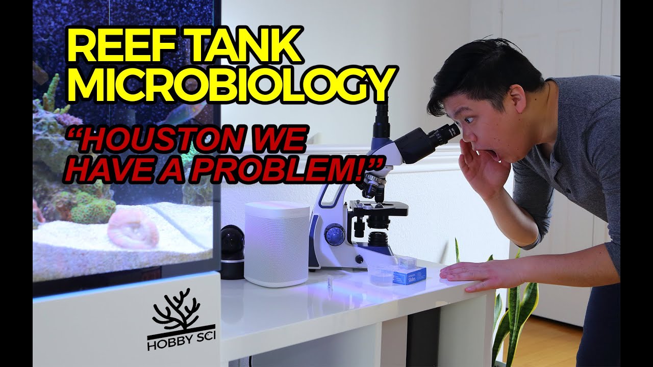 Reef Tank Microbiology - Episode 1- What's Hiding in Our Aquariums ...