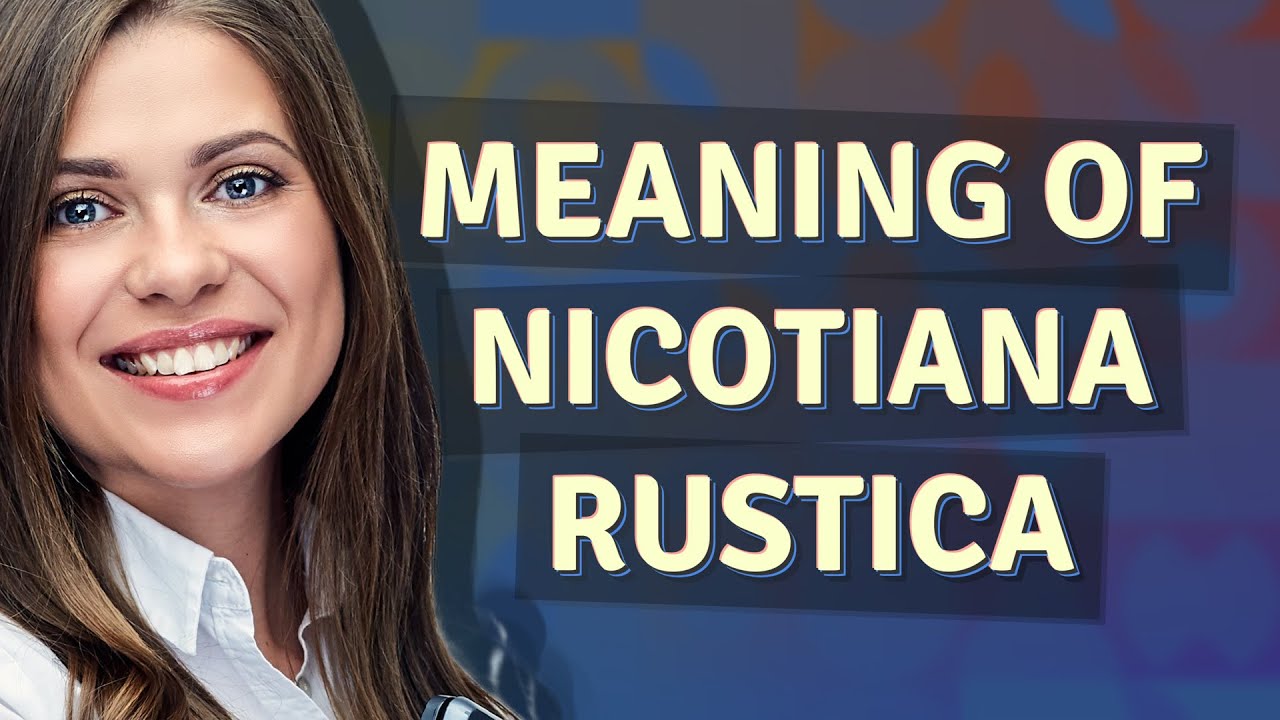 Nicotiana rustica | meaning of Nicotiana rustica - YouTube