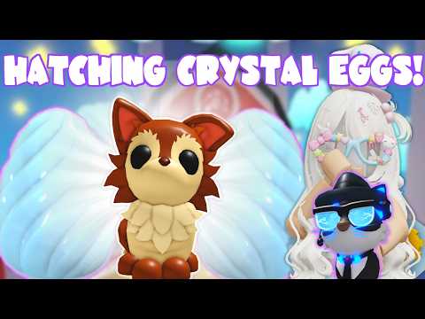Hatching Crystal Eggs for Chihuahua! | Adopt Me Update Roblox | Riivv3r