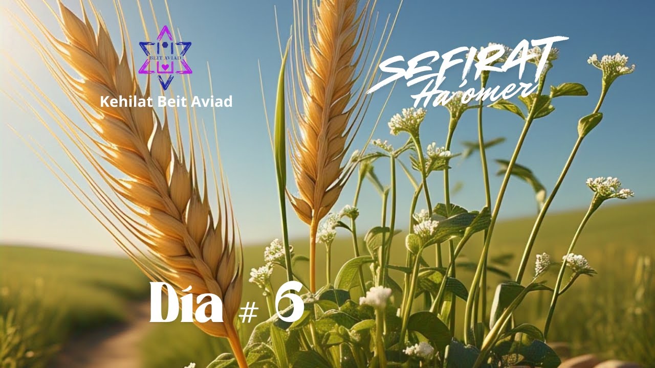 Sefirat Ha´omer 5785 - 2025 Día #6. Cuenta del Omer - YouTube