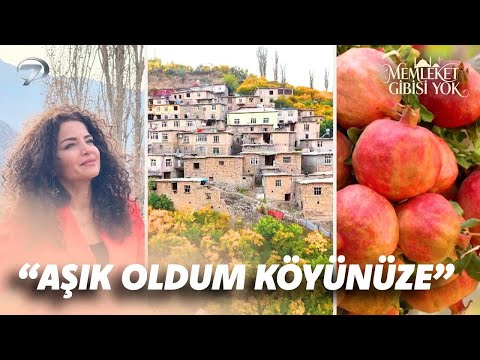 Deniz Toprak’ın Aşık Olduğu Sosyal Medyanın En Beğenilen Nar Suyu Köyü ve Nar Bahçeleri… | Siirt