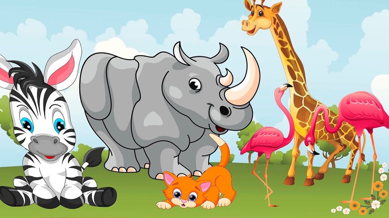 Cute Animal Sounds & Mellow Music: Kitten, Flamingo, Giraffe ...