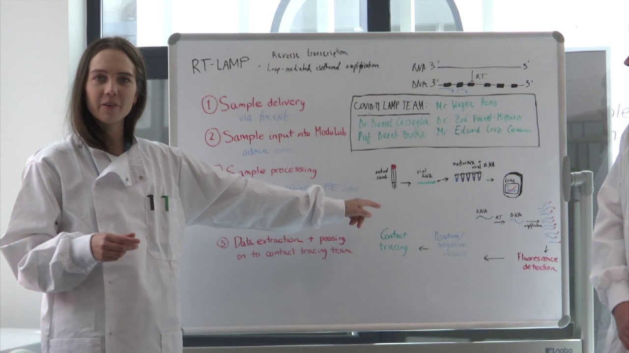 New Laboratory at University expected to process 300 Covid-19 tests per ...