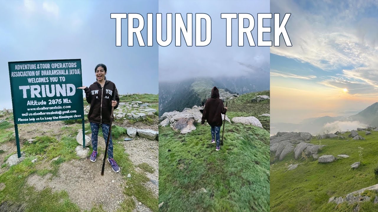 Triund Trek | My First Trek in Himachal Pradesh | Mcleodganj | Triund ...