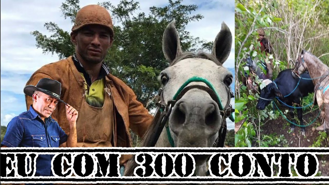 Eu Com 300 Conto, Dede Cantor Vaqueiros Botado Cavalo Em Boi! Forró de ...