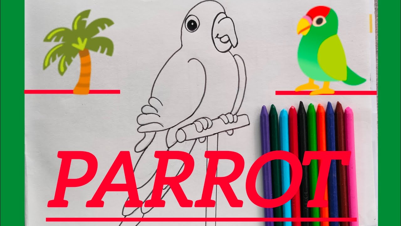 Cute Parrot Drawing | How To Draw Cute Parrot For Kids 🦜🦜🦜| - YouTube