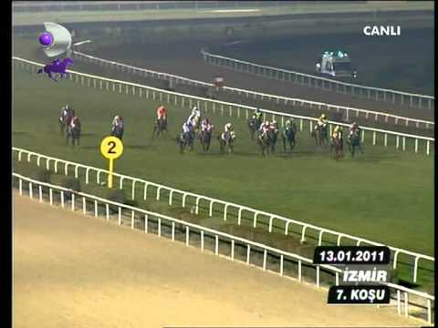 MUSABEY VS HALİS KARATAŞ