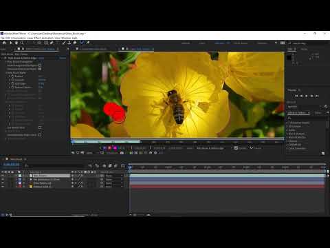 Learn after effects - how to cut an element out of a video clip with ...