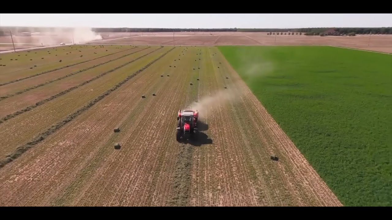 This Week in Agribusiness, March 8, 2025 - YouTube