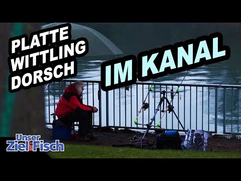 ALLES ist MÖGLICH! Brandungsangeln im Kanal - Unser Ziel ist Fisch - Angelschule mit Jörg Ovens