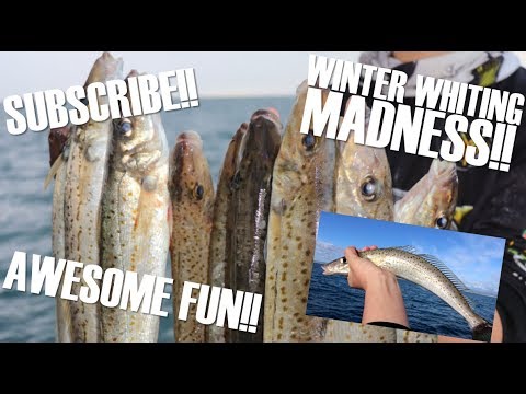 Winter Whiting action! | South Australian fishing! - YouTube
