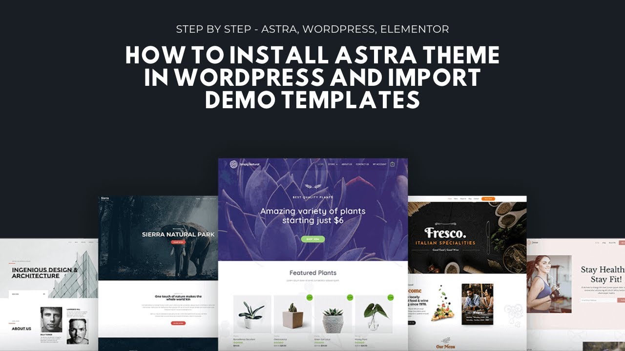 2025 - How to Install Astra Theme in Wordpress and Import Demo ...