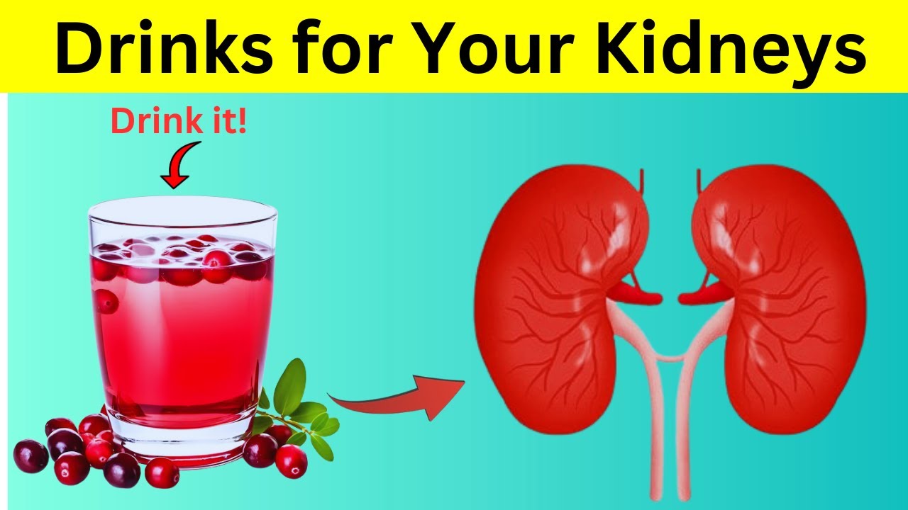 TOP 7 Best Drinks for Your Kidneys - YouTube