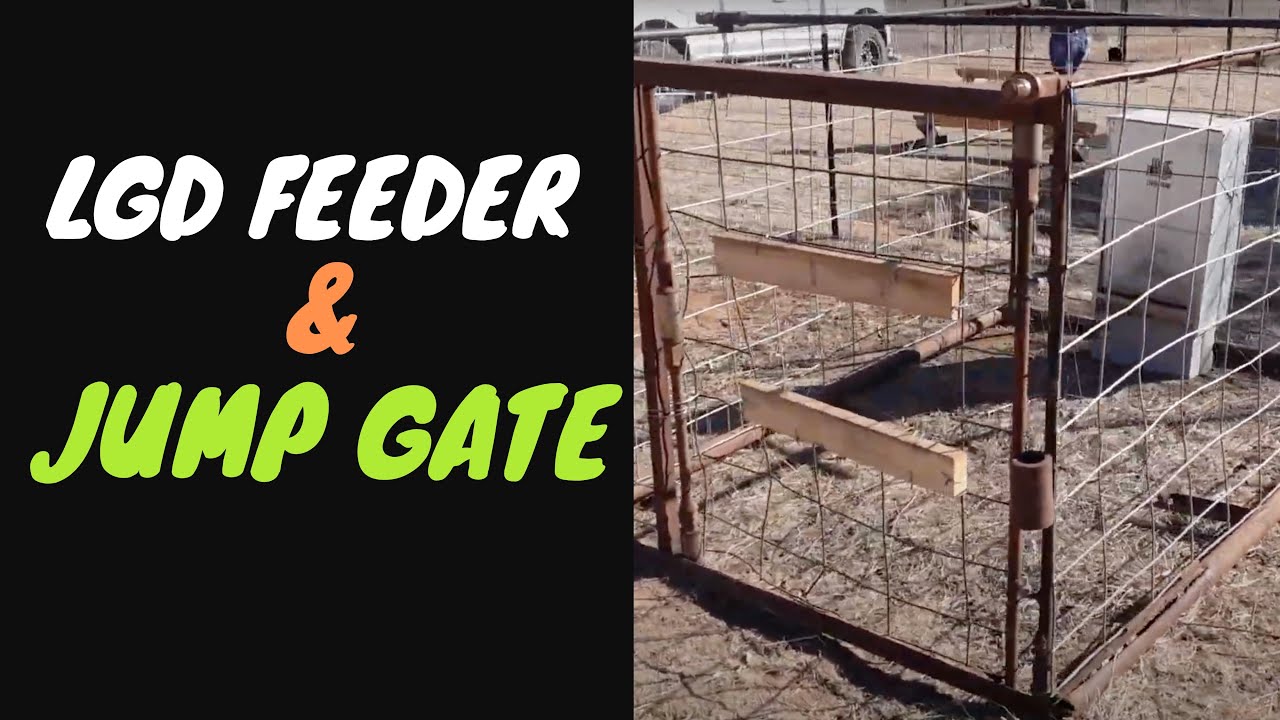Livestock Guardian Dog Feeders - YouTube