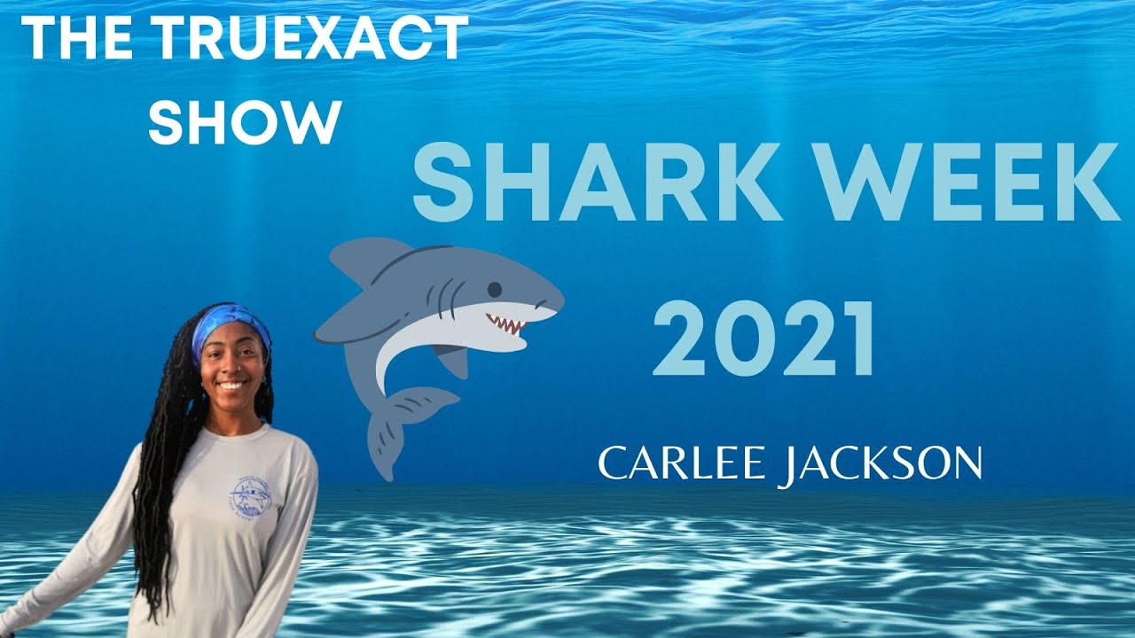 TruExact Show EP 113: SHARK WEEK 2021-CARLEE JACKSON - YouTube