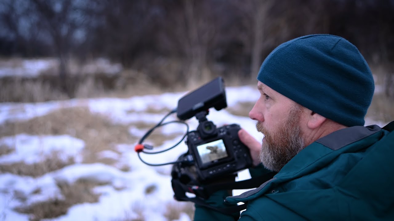 Nikon Z9. Bird Photography Autofocus. I finally see what I've been ...