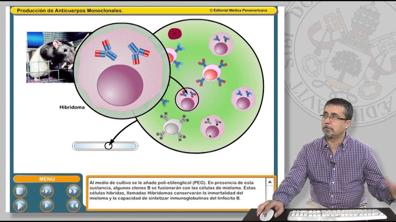 T.2 TÉCNICAS DE INMUNODIAGNÓSTICO - YouTube