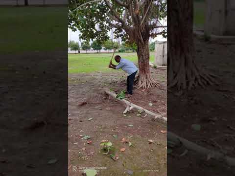 Zade Lava Zade Jagawa - YouTube