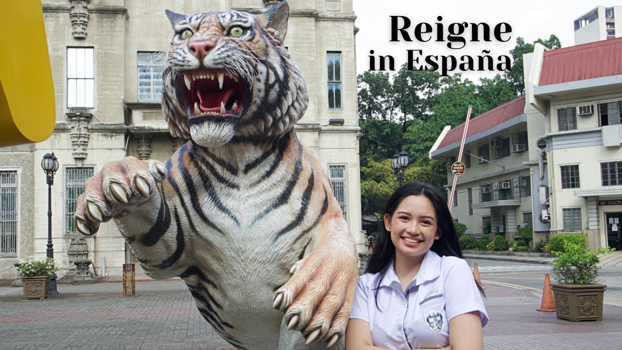 college diaries | first day of school, UST's yellow day, & grocery haul ...