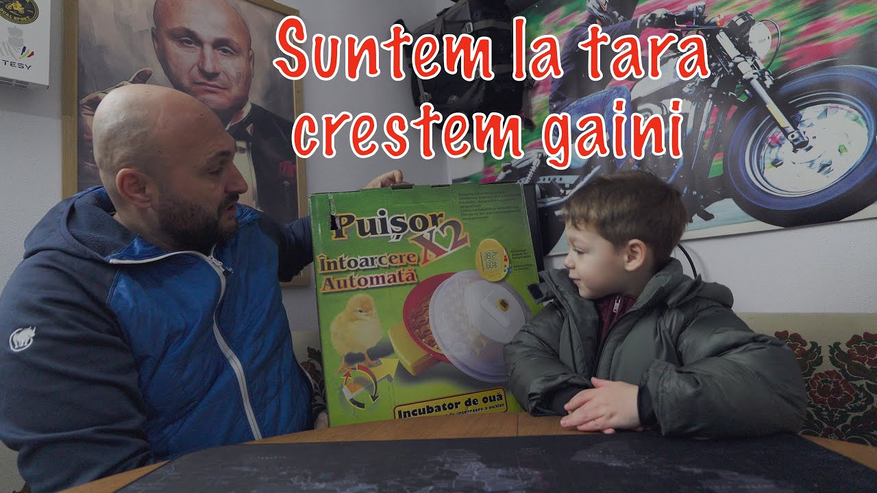 Incubator (clocitoare)|| Puisor X2 - YouTube