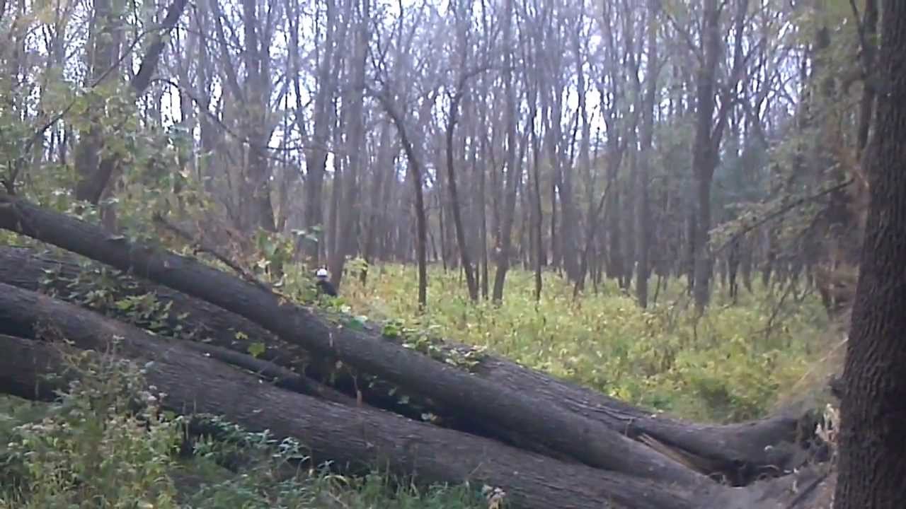 Big Log 1 YouTube big-log-1-youtube