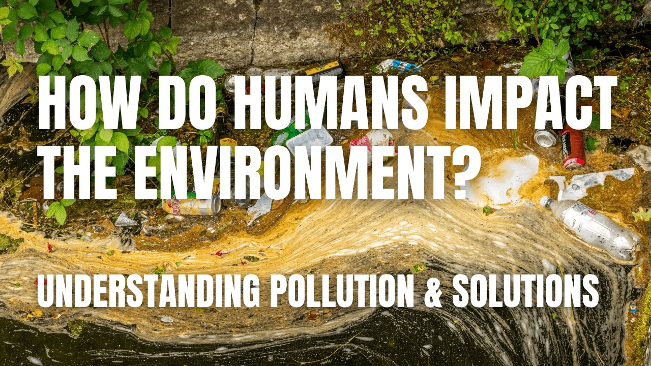 Pollution and Our Impact: Understanding Human Effects on Earth | Middle ...