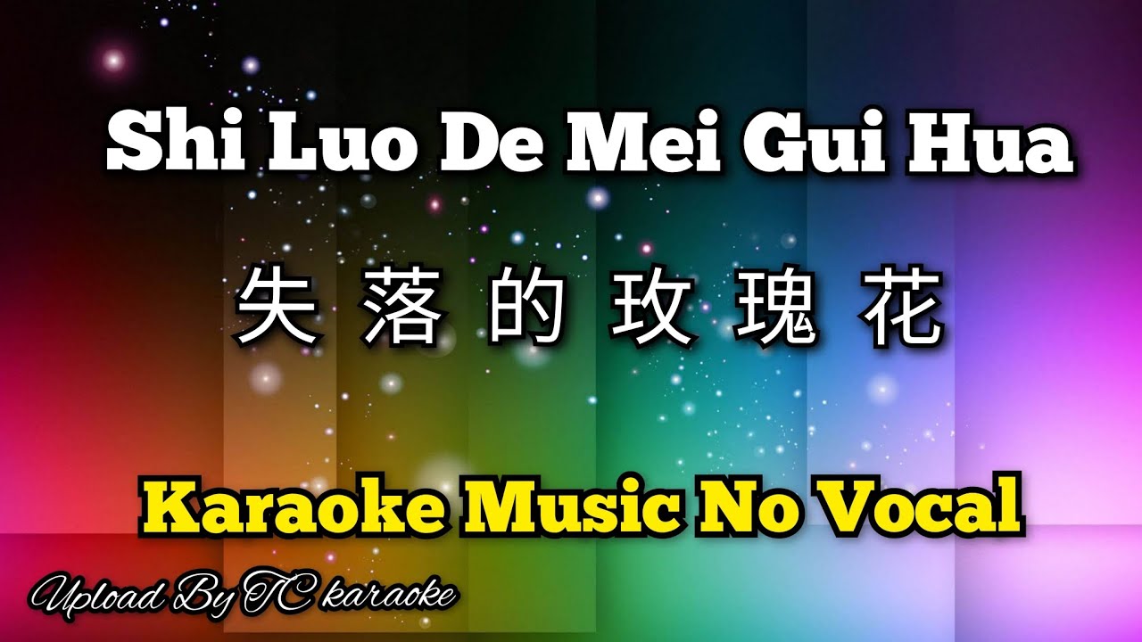 Shi Luo De Mei Gui Hua 失落的玫瑰花 karaoke mandarin no vocal - YouTube