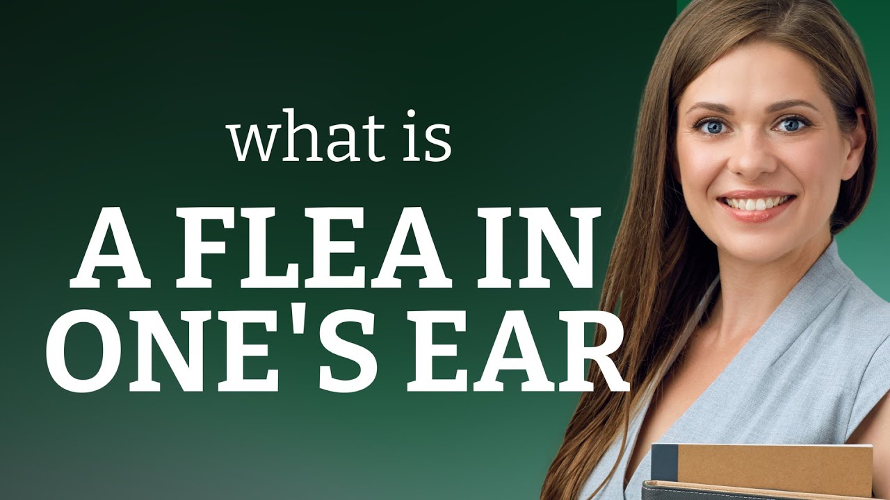 Understanding the Phrase "A Flea in One's Ear" - YouTube