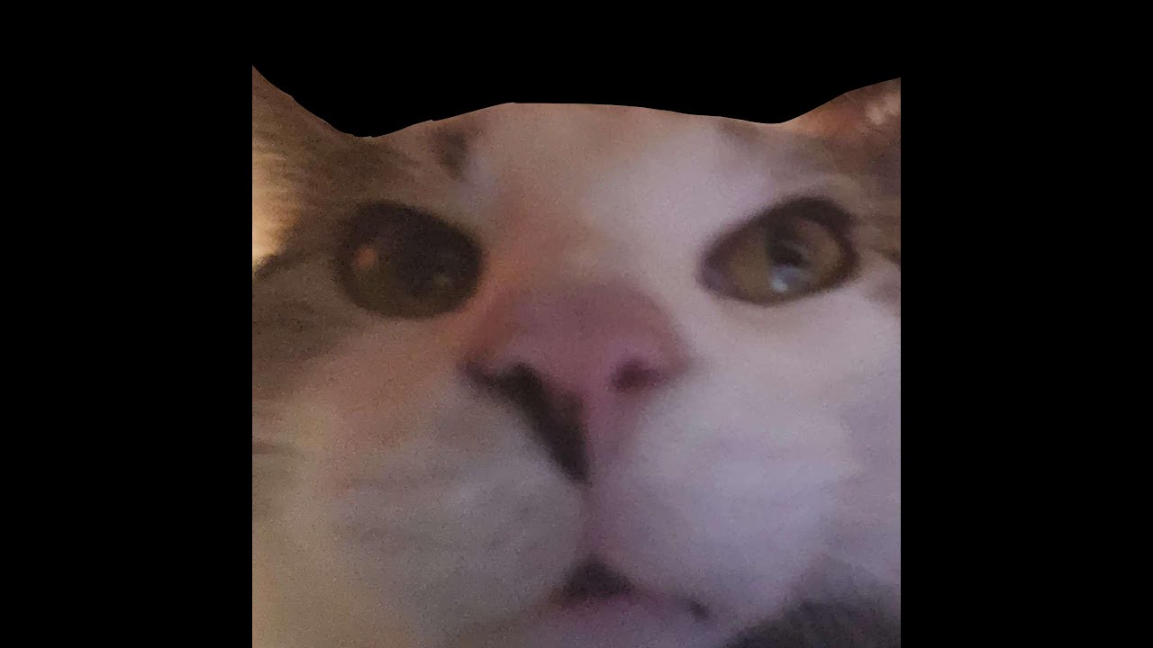 Addy for President// GOV. Project - YouTube