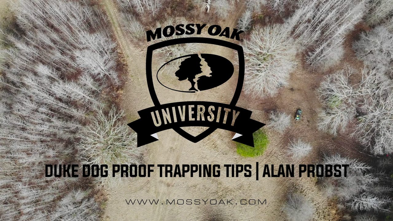 Duke Dog Proof Trapping Tips with Alan Probst - YouTube