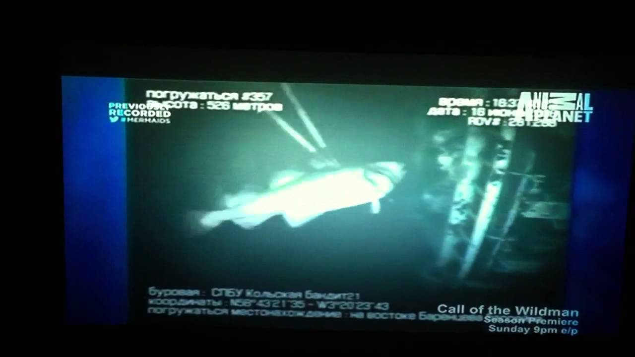 Mermaid Deep Sea Hunting - YouTube