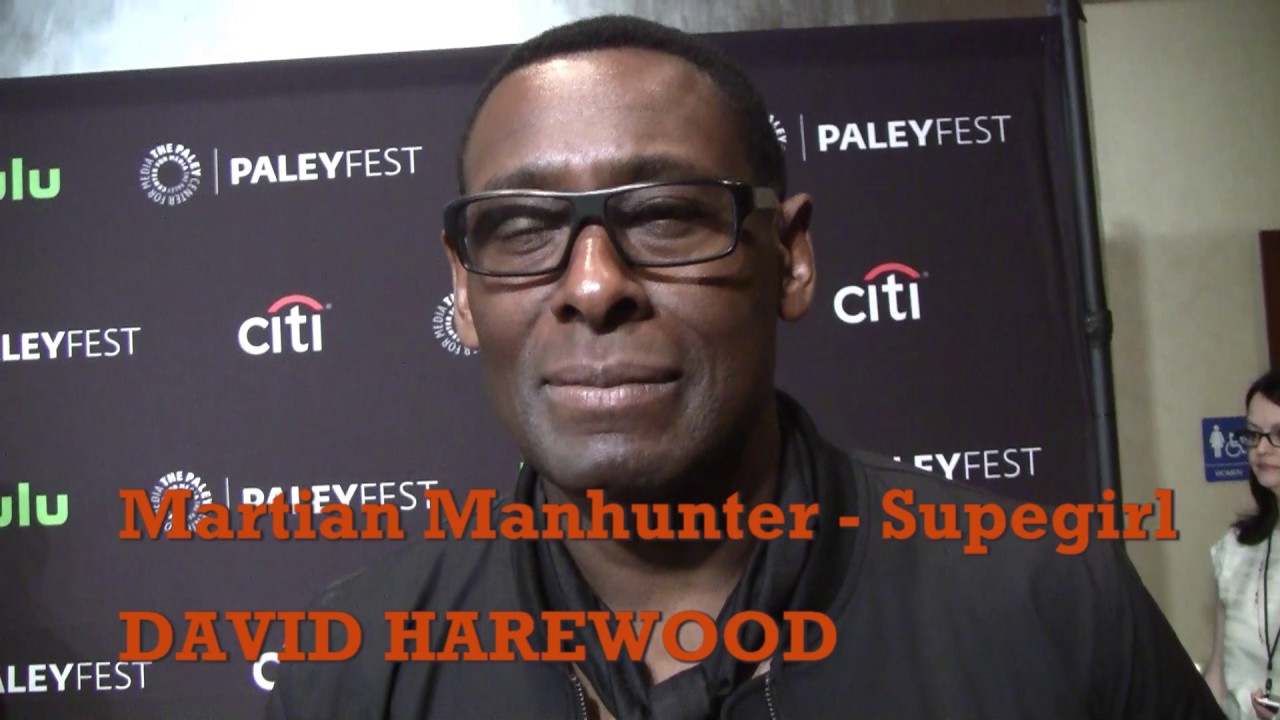 PaleyFest 2017 (The CW Superheroes) - Interview with David Harewood ...